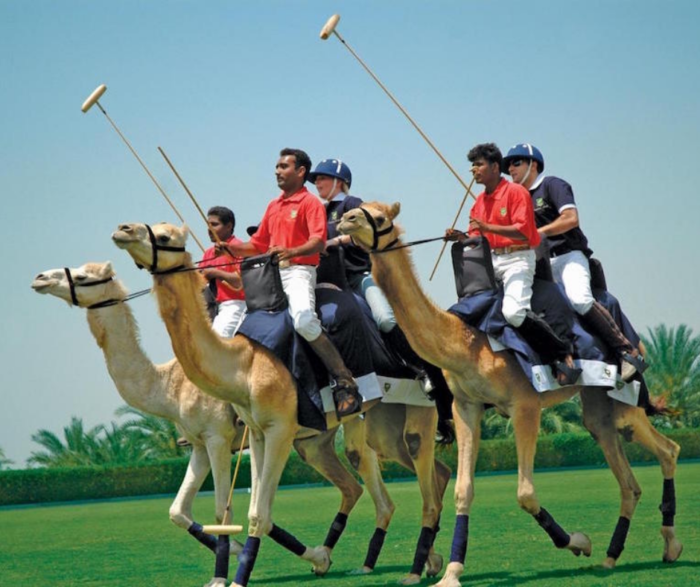 Why Is Polo Played Right Hand Only? : Dallas Burston Polo Club