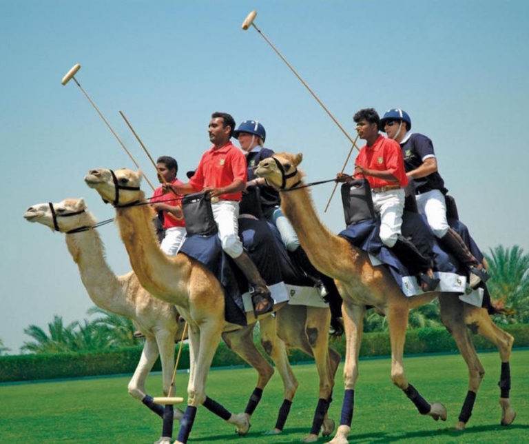 Why Is Polo Played Right Hand Only? : Dallas Burston Polo Club